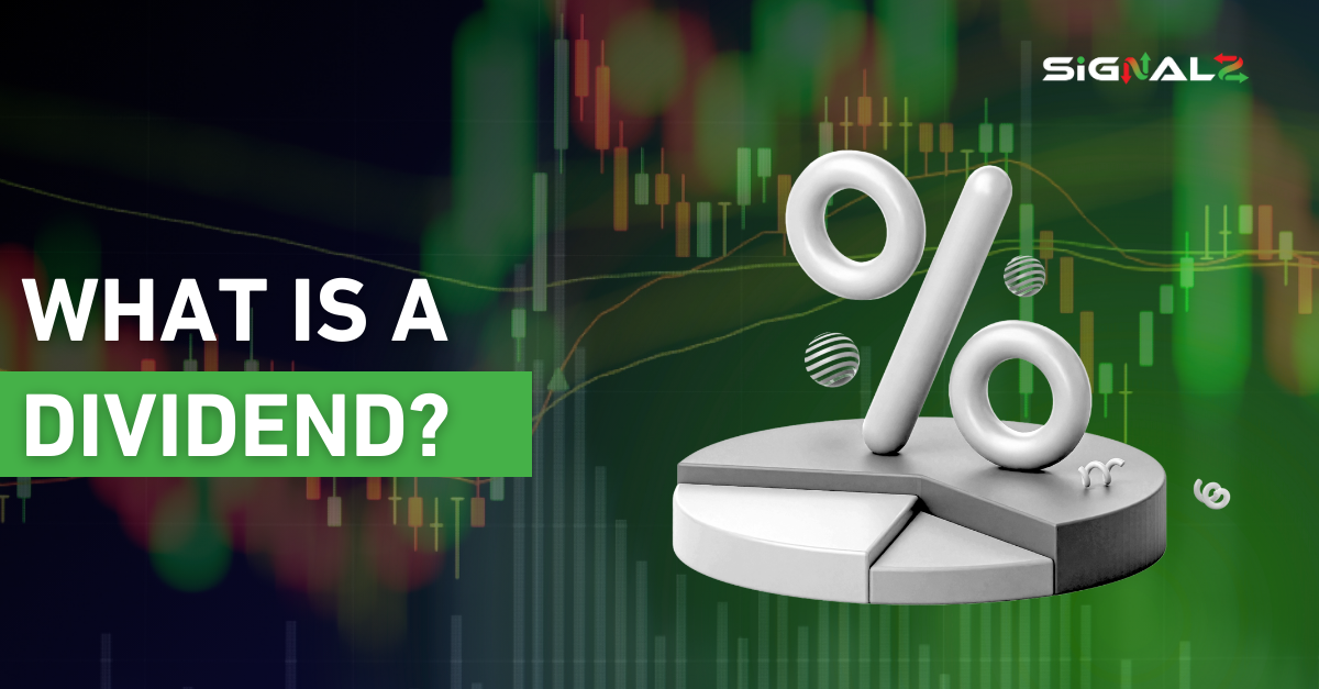 What is a Dividend and How Do Dividends Work? – signalz.pro